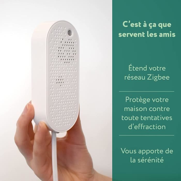 Sirène Intelligente , Alarme de sécurité intérieure Intelligente ...