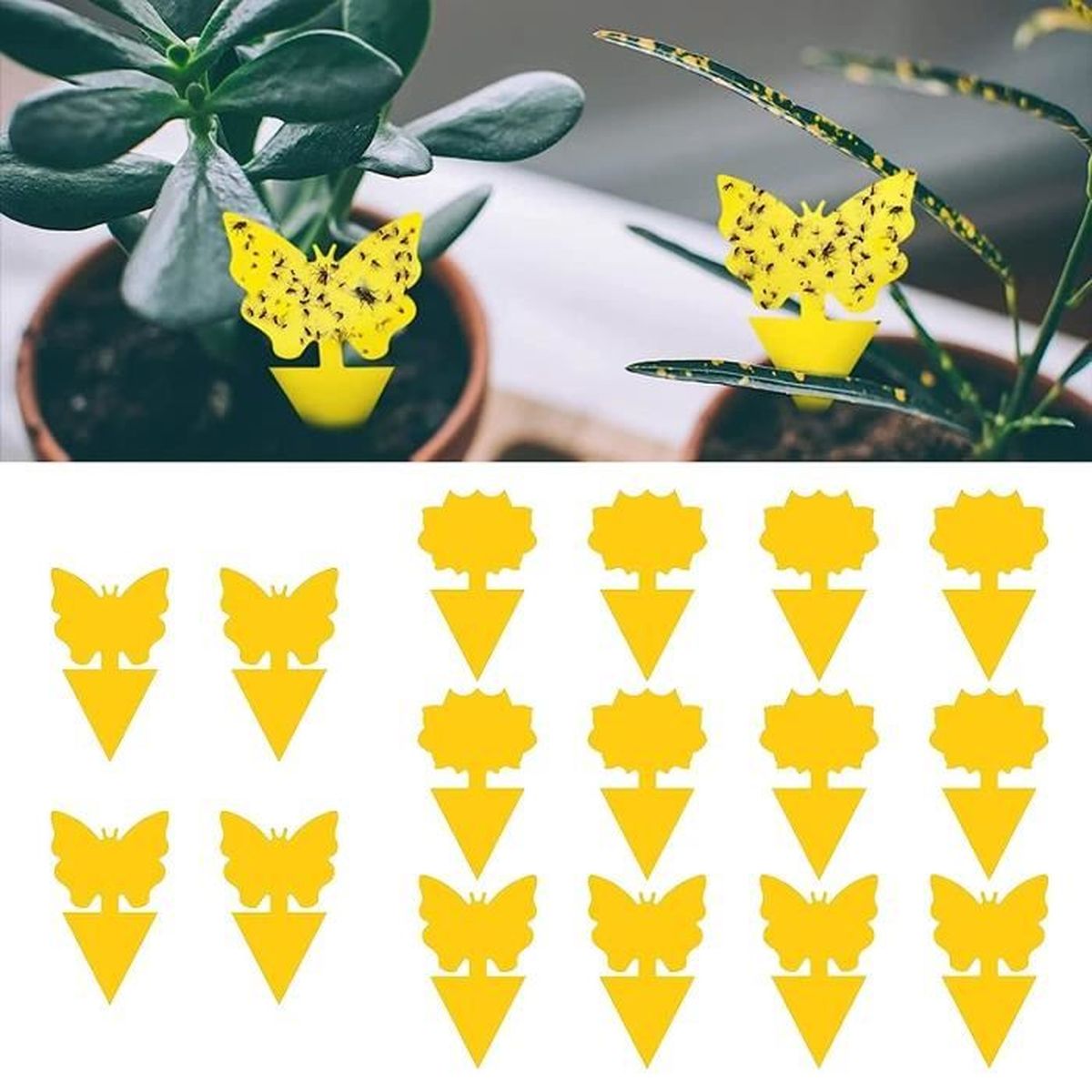 Anti Moucheron Plante,Attrape Mouche,Pièges à Insectes,Attrape ...