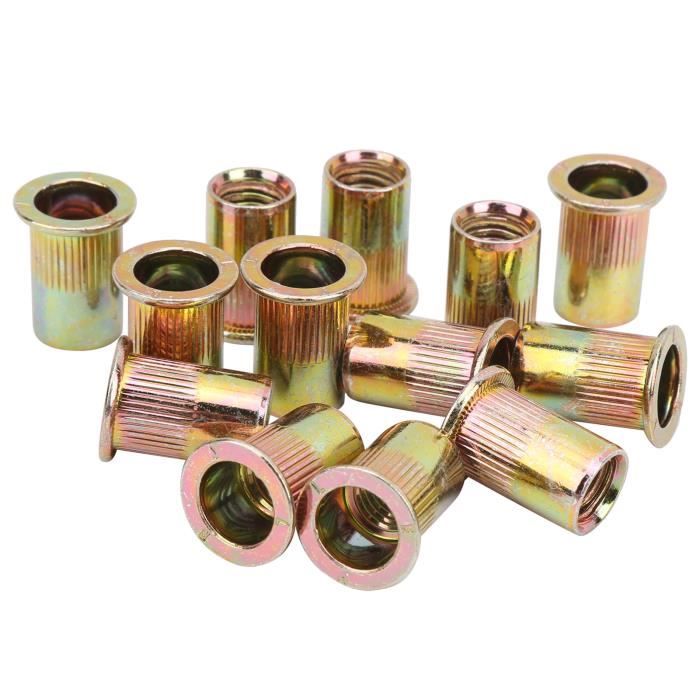 GOTOTOP écrou d'insertion de rivet 100 pièces écrou à rivet tête plate ...