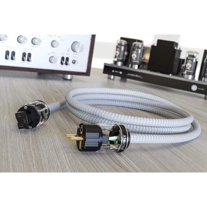 Câble d'alimentation - RICABLE - PA2 Primus - 2 MT - Blindé - Schuko ...