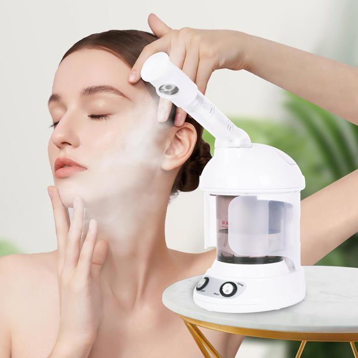 Vapeur Visage Vaporisateur Sauna Spa Facial Chaude Nano Ionique ...