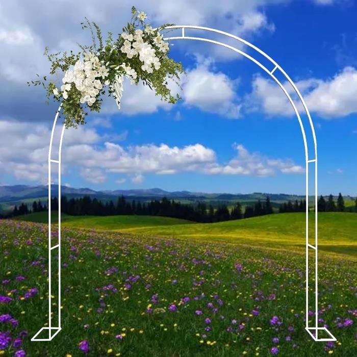 Arche Jardin En Métal Avec Base, Arche À Rosiers Résistante Aux ...