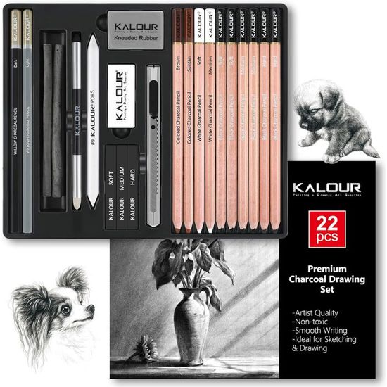 Set De Dessin Au Fusain De 22,Fournitures D'Art Professionnelles ...