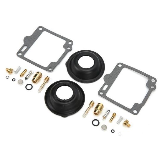 Garosa Carburetor Repair Kit, Carburetor Overhaul Comes with Various ...