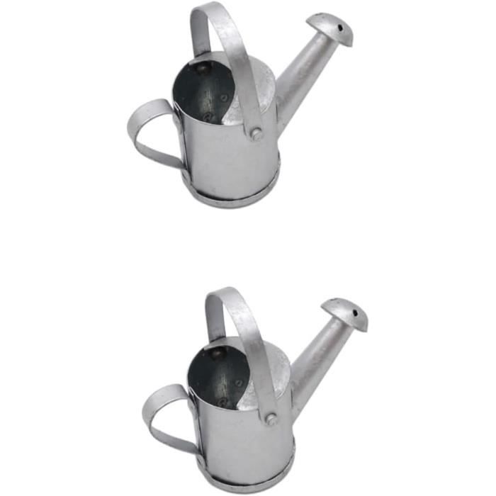 2 Pièces Jardinage Arrosoir Seaux À Glace Avec Couvercles Arrosoir De ...