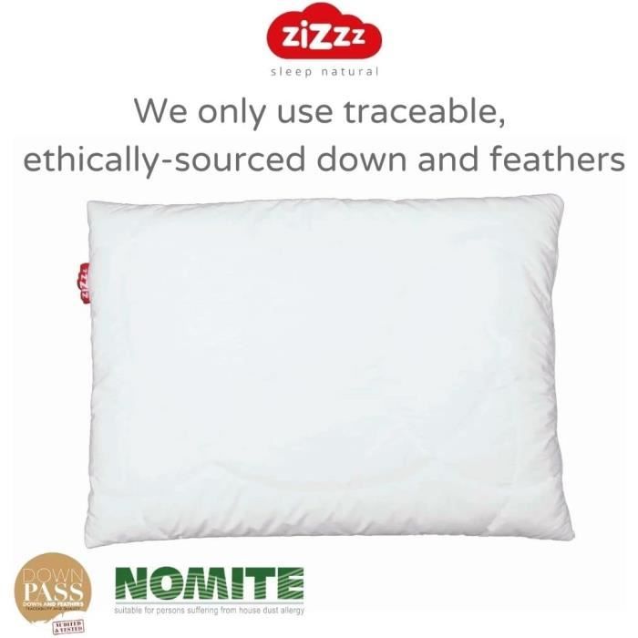 Oreiller en plumes de canard 40x60 cm - Fabriqué en Allemagne ...