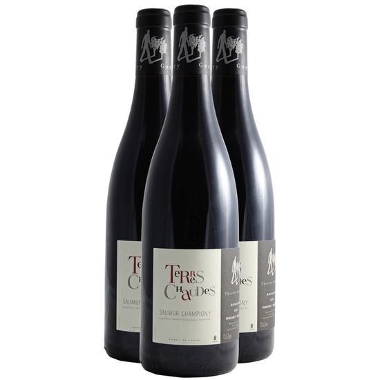 Domaine des Roches Neuves Saumur-Champigny Terres Chaudes 2021 - Vin ...