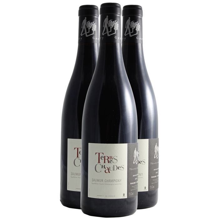 Domaine des Roches Neuves Saumur-Champigny Terres Chaudes 2021 - Vin ...