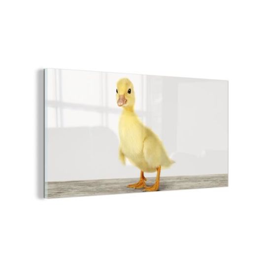 Tableau - Toile - MuchoWow - - 40x20 cm - Canard Poussin Animaux Doux ...