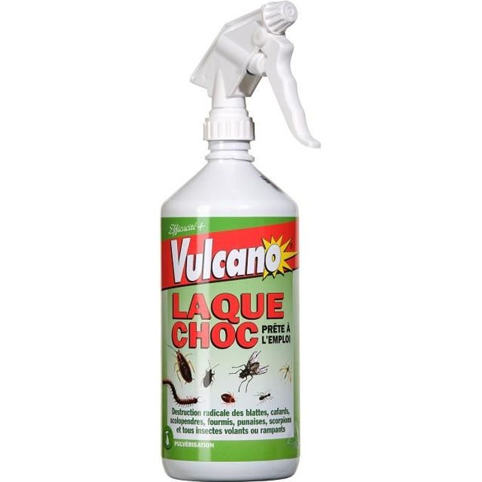PRODUIT ANTI BLATTE CAFARD LAQUE EFFET CHOC - Cdiscount Au quotidien