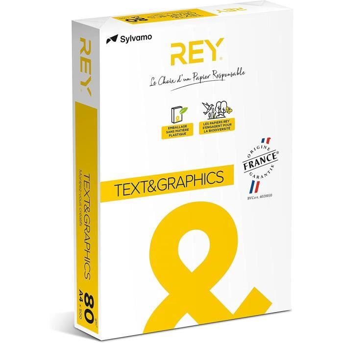 ® TEXT & GRAPHICS, Papier Reprographique, Blancheur Élevée, 80 g, A4 ...