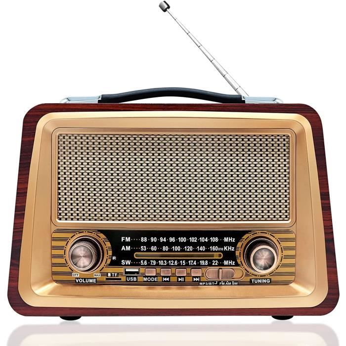 LIWI-Radio Portable, Radio Vintage Bluetooth FM-AM-SW, Poste Radio à ...