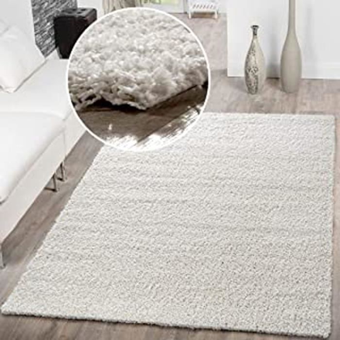 Tapis Shaggy Poils Hauts Poils Longs Tapis Salon Prix Choc Différents Coloris, Dimension:200X280 ...