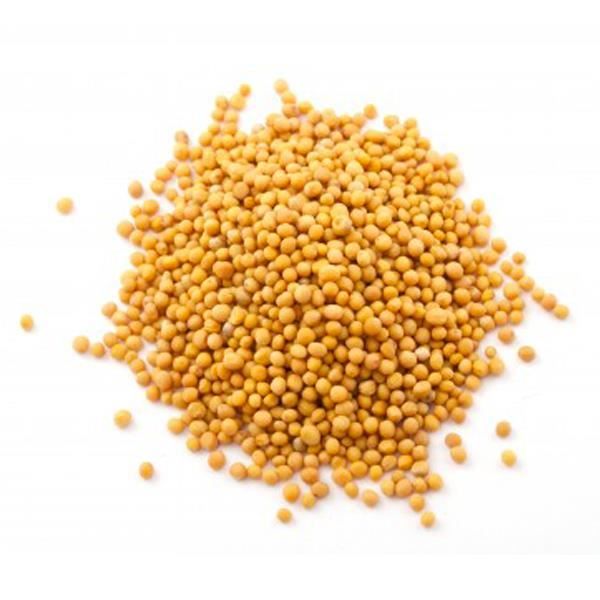 GRAINES DE MOUTARDE - SACHET DE 50 G - Cdiscount Au quotidien