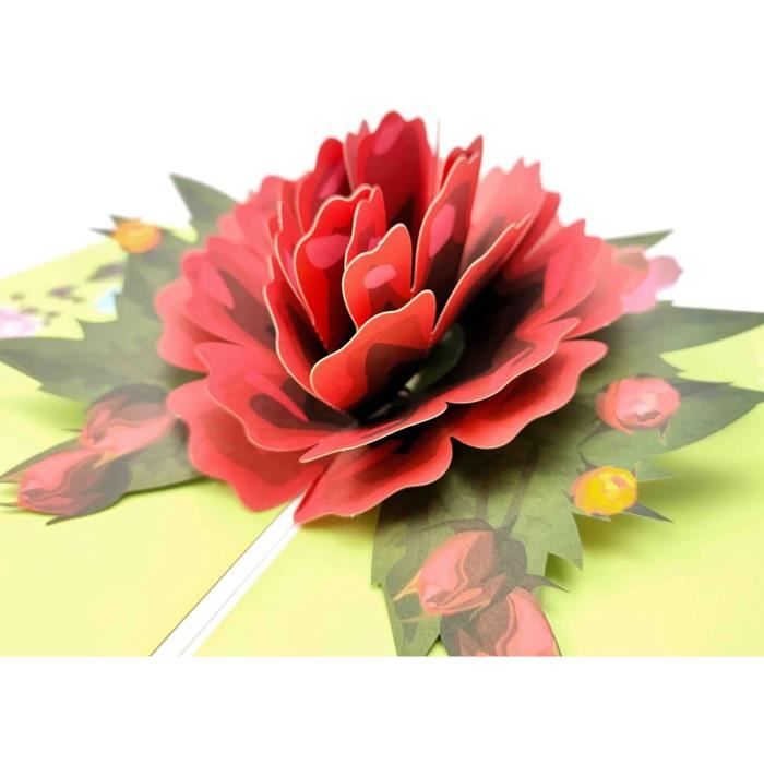 Carte Pop-Up - Fleurs - Carte Cadeau 3D Avec Enveloppe - Cartes D ...