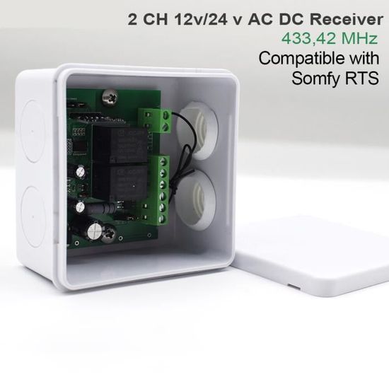 SOMFY RTS Récepteur de télécommande de porte de garage,rideau ...