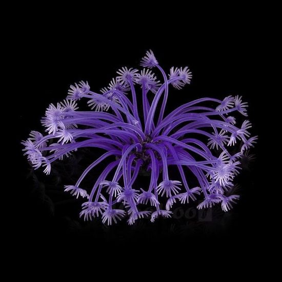 Corail Artificiel Violet En Plastique Décoratio… - Achat / Vente déco ...