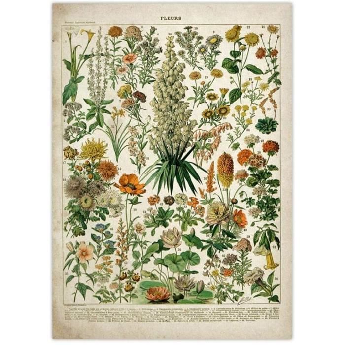 Posters Impressions sur Toile,Affiche De Fleur Vintage Antique Floral ...