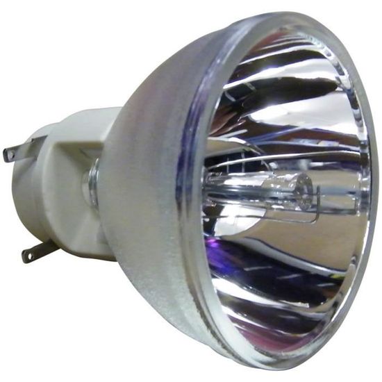 OSRAM ECL-6172-BO-O Lampe de rechange pour OPTOMA SP.8LL01GC01 BL ...