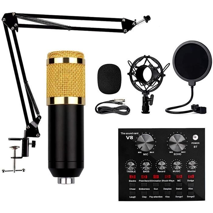 Kit Microphone À Condensateur, Microphone USB, Kit Micro BM-800 avec ...