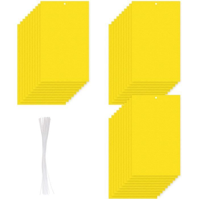 30 Pcs Jaune Mouche piège Double Face,Attrape Mouche,Moucheron Fruit ...