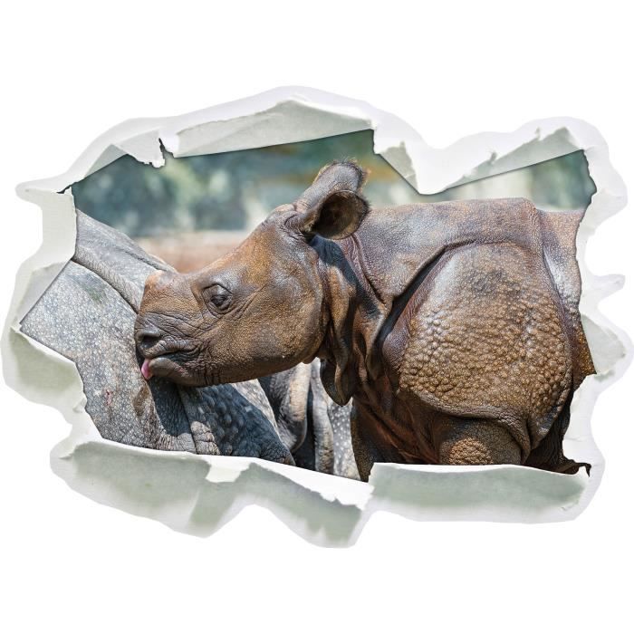 Jeunes rhinocéros, papier 3D taille sticker mural: 62x45 cm décoration ...
