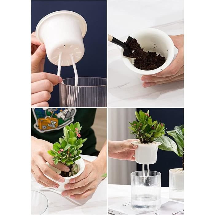 Self Watering Plastic Hydroponics Plant Pot Clear 2 Layer Planter Water ...