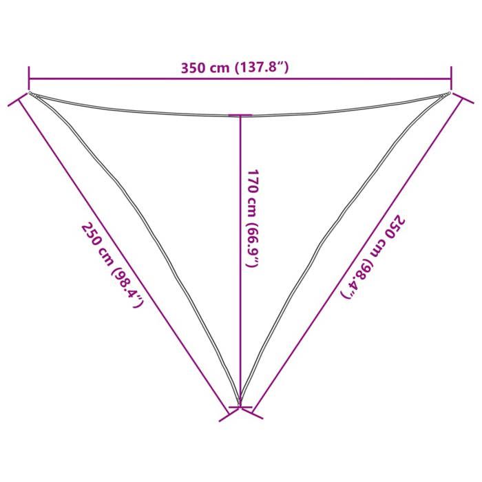 VidaXL Voile d'ombrage 160 g/m² triangulaire 2,5x2,5x3,5 m PEHD, voile ...