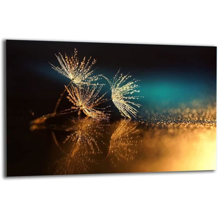 Plaque De Protection Pour Cuisinière Électrique 80 X 52 Cm 1 Pièce En ...