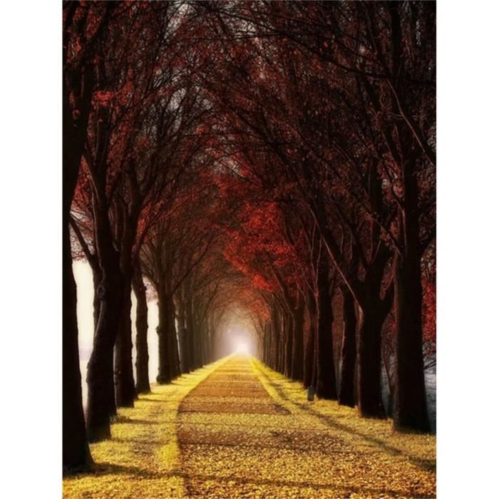 5D Diamond Painting Kit, Diy Diamant Complet Route De Paysage D'Automne ...