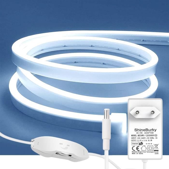 Blanc Froid Ruban Led Néon, 12V 5M Bande Led Lumineuse Imperméable À L ...