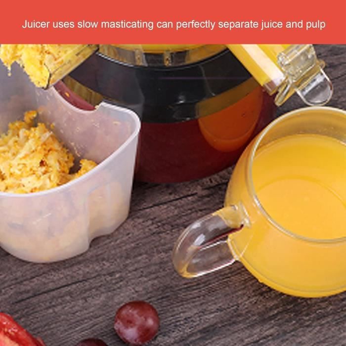 Machines À Jus À Mastication Lente Légumes Et Fruits, Extracteur De Jus ...