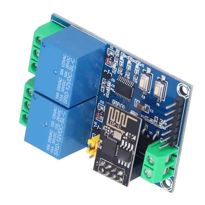 Relais WiFi double canal - YOSOO - ESP8266 - Contrôle à distance - 10A - 100M de portée ...