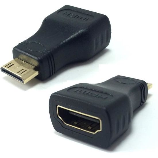 Mini HDMI (type C) vers HDMI femelle standard (type A) pour connecter ...