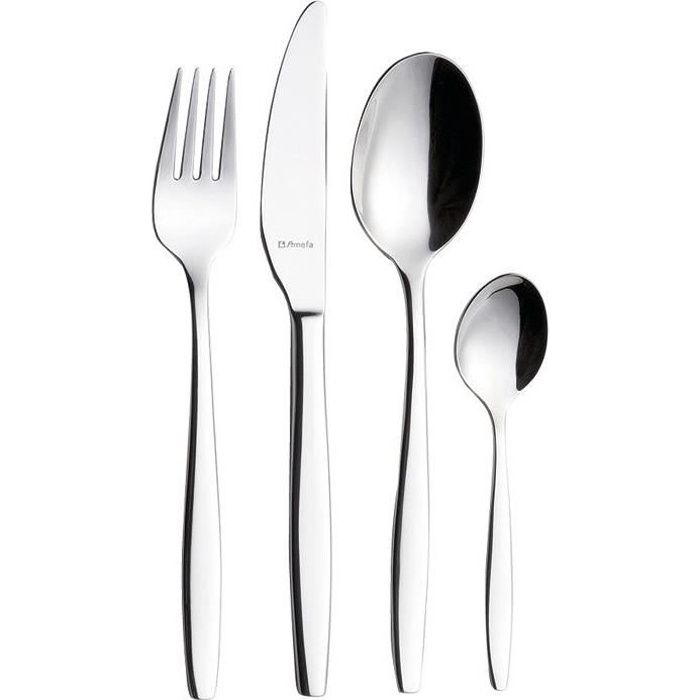 Ménagère 49 pièces Florence inox avec coffret amefa box - Cdiscount Maison