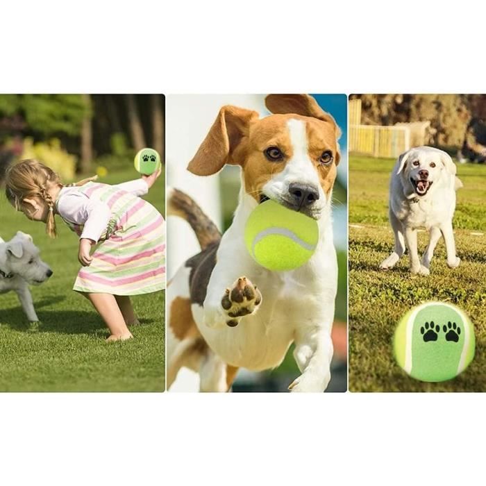 Lot De 3 Balles De Chien, Balle De Tennis, Jouet Pour Chiens, Animaux Domestiques[G1532] - Cdiscount