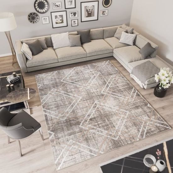 TAPISO Troya Tapis de Salon Chambre Design Moderne Géométrique Moucheté ...
