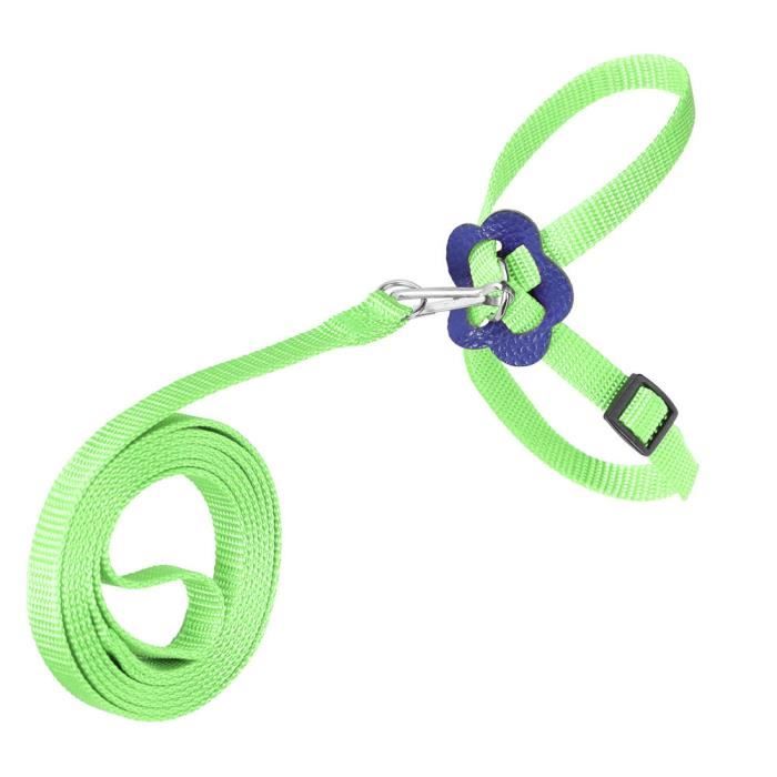 Fdit Harnais de perroquet Harnais Oiseaux Laisse de Perroquet Corde ...