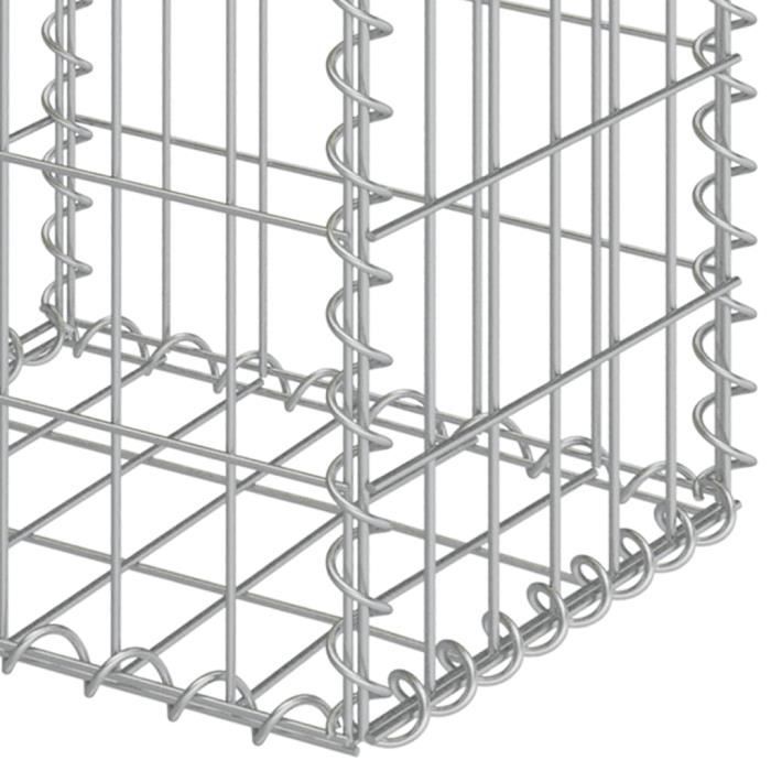 LIS143596 Paniers de gabion 2 pcs Acier galvanisé 30x30x40 cm ...