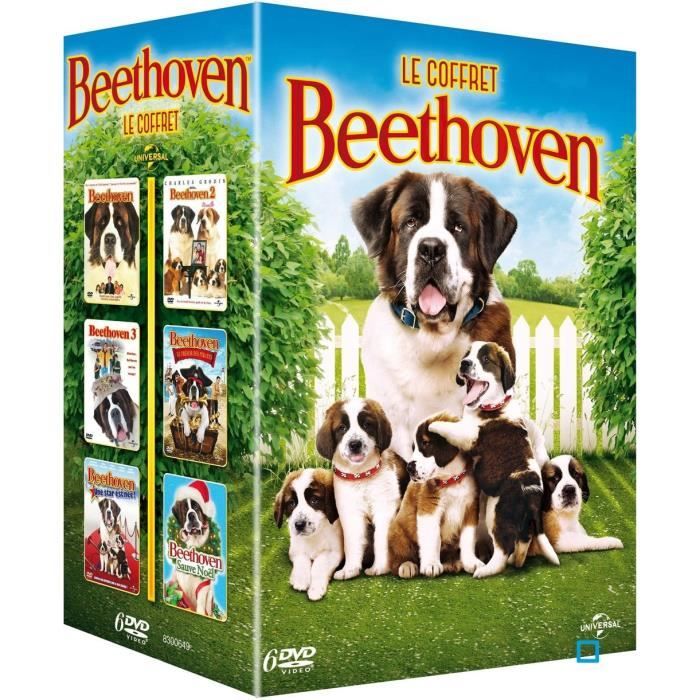 DVD Le Coffret Beethoven - Cdiscount DVD
