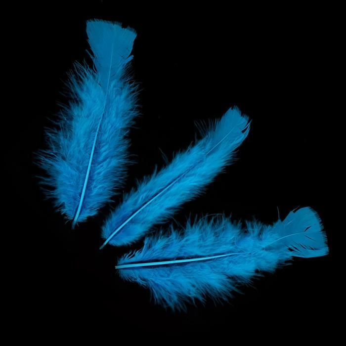 Décoration De Plumes 100 Pièces De Plumes Colorées Décoration De ...