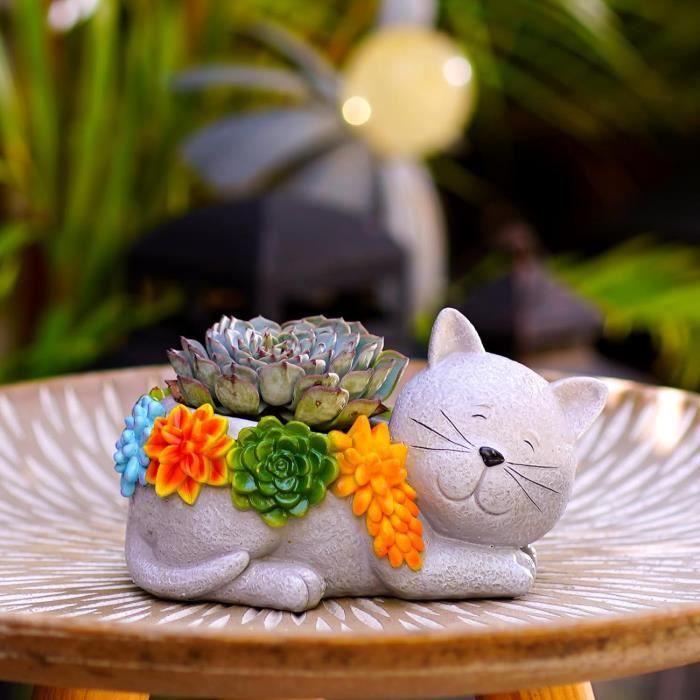 Chat Pots À Fleurs Succulentes - Joli Petit Bac À Plantes, Convient Au ...
