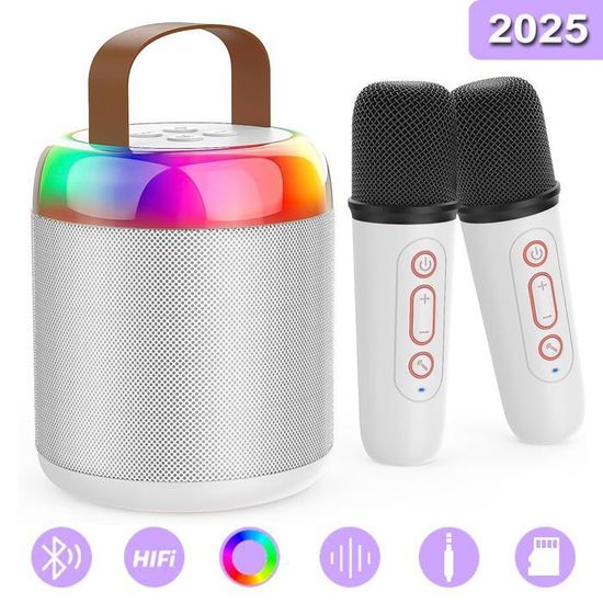 Micro Karaoké Enfant Adulte avec 2 Micro sans fil, Karaoké Portable Bluetooth 5.3 LED ...