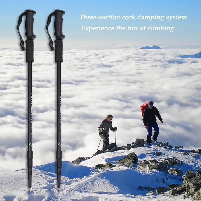 Nouvelle paire de 2 bâtons de marche trekking randonnée cabine ...