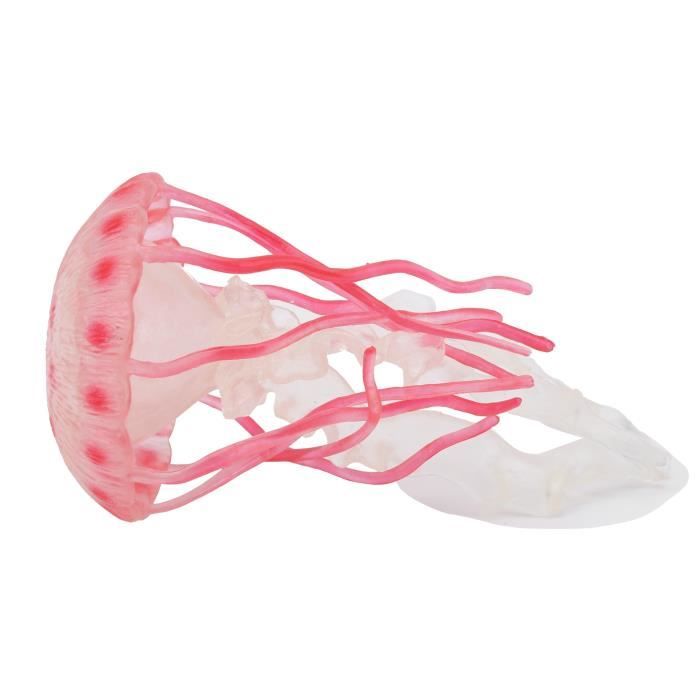 Tbest Jouet de méduse pour enfants Modèle de Jouet de Méduse Jouet ...