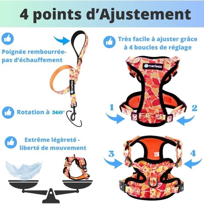 Harnais Et Laisse Pour Chien Chiot Chat. Harnai Réglable Original Arnet ...