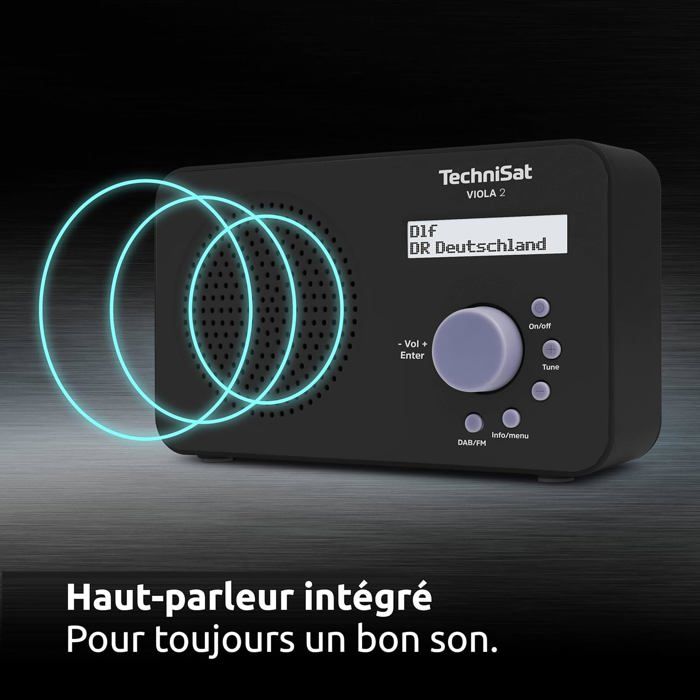 Radio numérique portable - ARNUSA - DAB+ - FM - Viola 2 - Haut-parleur ...
