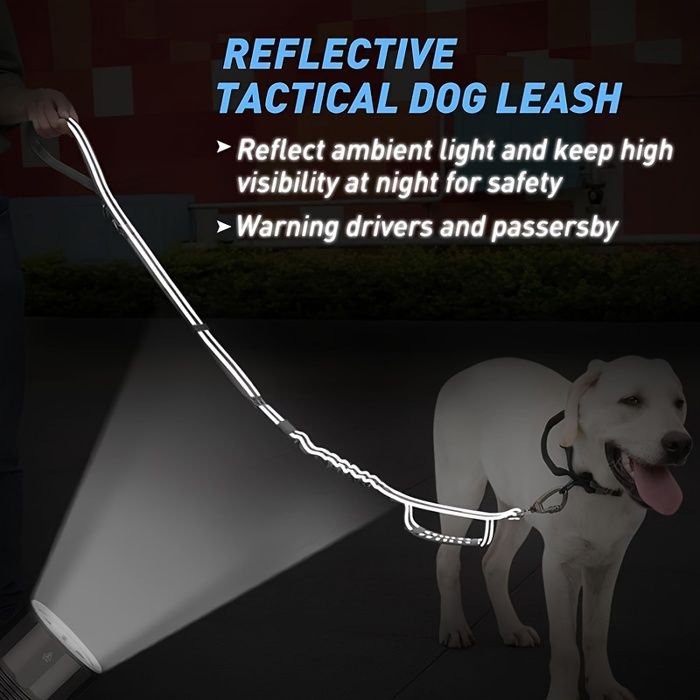 Laisse élastique pour chiens de taille moyenne à grande, équipée d'une ...