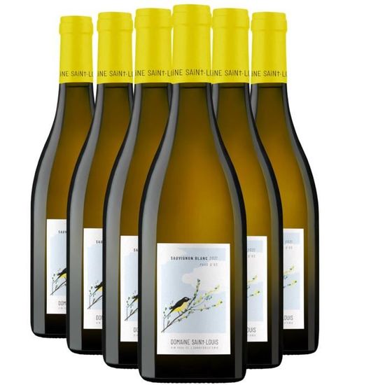 Domaine Saint Louis Pays d'Oc Blanc 2021 - Bio - Lot de 6x75cl - Vin ...