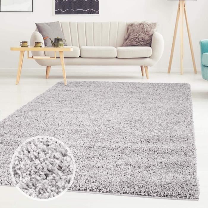 Ayshaggy Tapis Shaggy À Poils Longs Uni Gris Uni Doux Pour Le Salon, Taille : 80 X 300 Cm[u913 ...